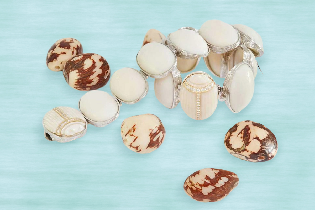 What Kind Of Stone Is The Tagua Seed Theeyeofjewelry